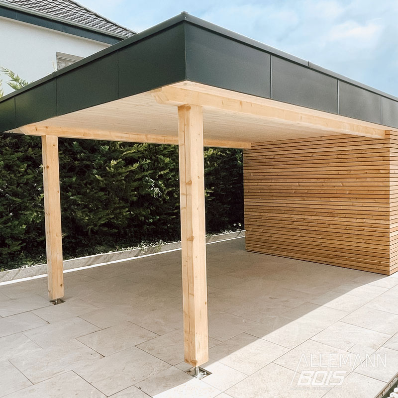 Pool House et Auvent sur Mesure à Brunstatt avec Allemann Bois